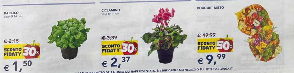 Fiori e piante Esselunga dal 07 ottobre 2024