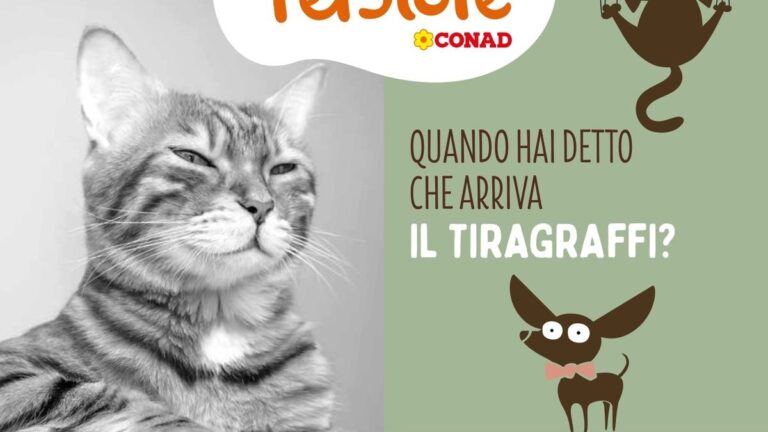 Volantino Pet Store Conad di Settembre 2025